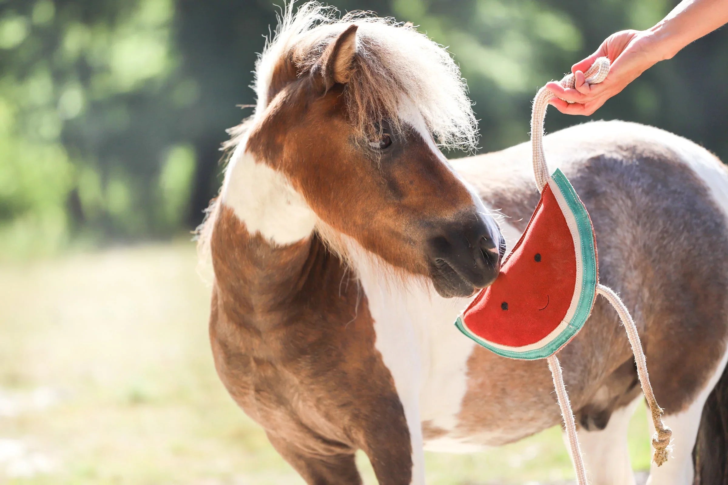 Eco Horse Toys – Green and Wilds - Retail